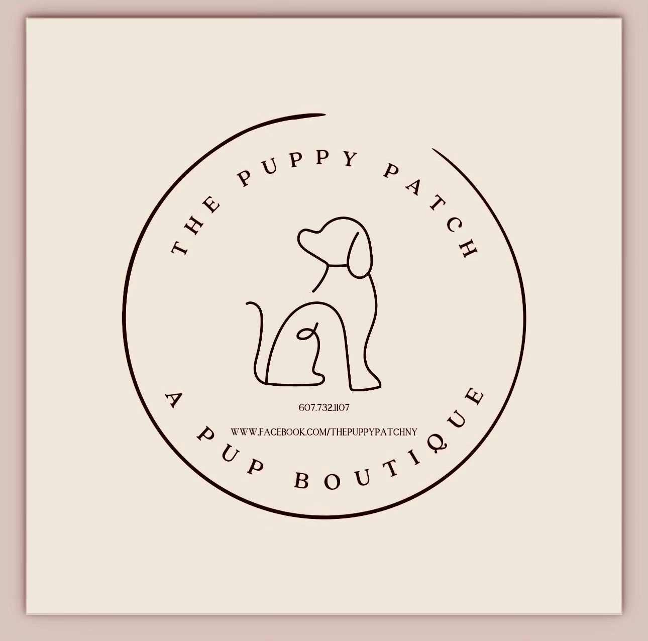 Gallery | The Puppy Patch, LLC